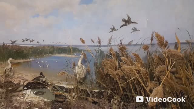 КРАЕВЕДЧЕСКИЙ МУЗЕЙ В ГЕНИЧЕСКЕ