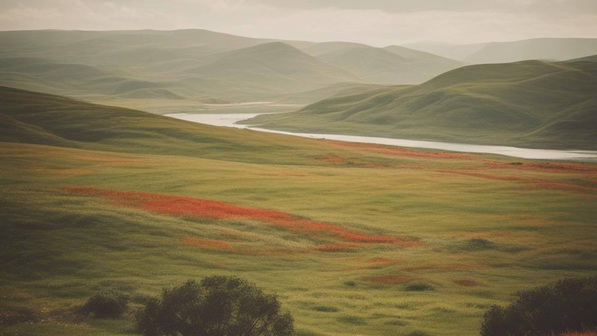 Родина моя V3_0004