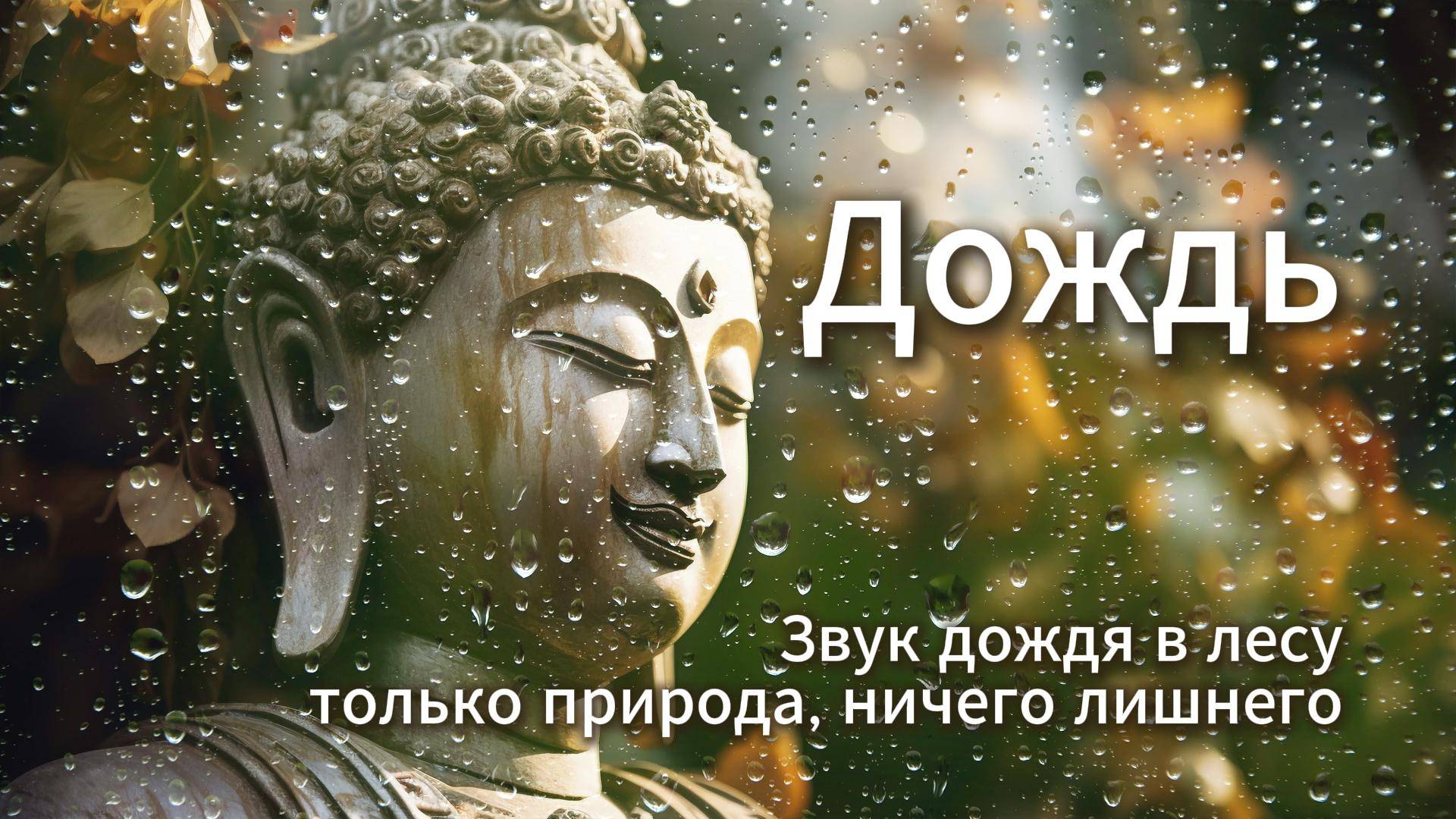 Шум дождя для сна, работы, учёбы, медитации и умиротворяющей атмосферы