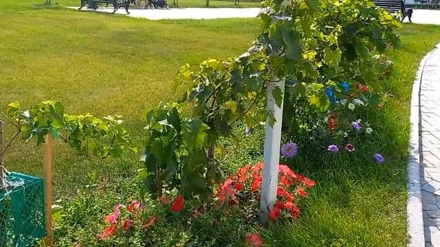 Новоиерусалимская обитель. Теплый солнечный день. 22 августа.