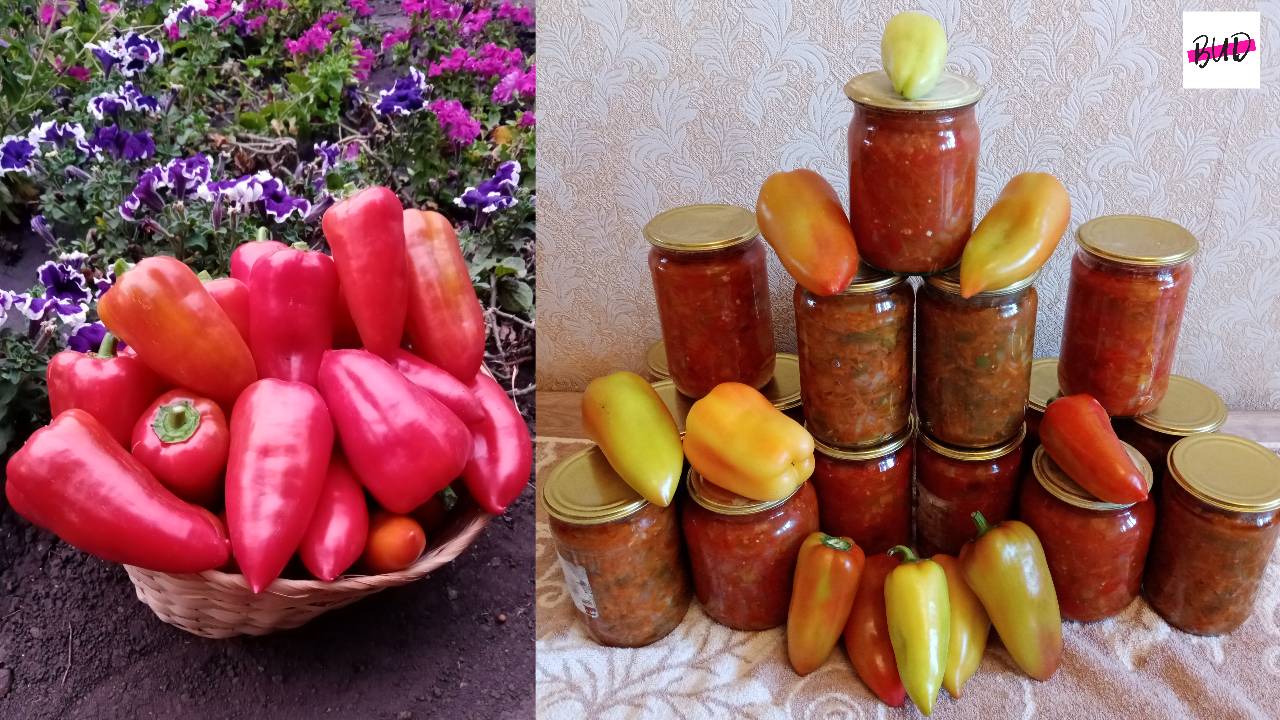 ОСЕНЬ - ЗАПАСИХА, ЗИМА - ПРИБЕРИХА.