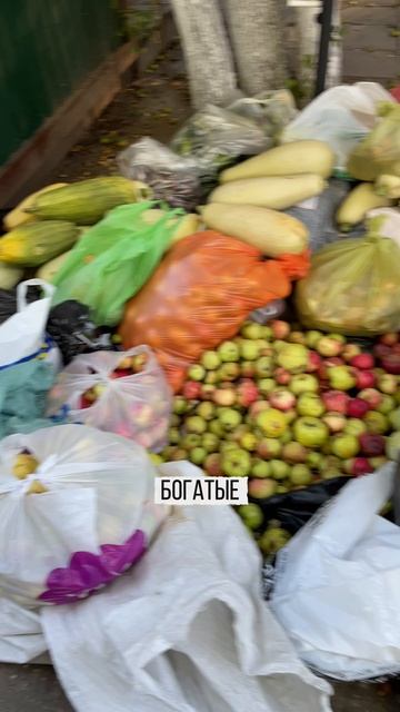 Еда для зверей Ивановского зоопарка