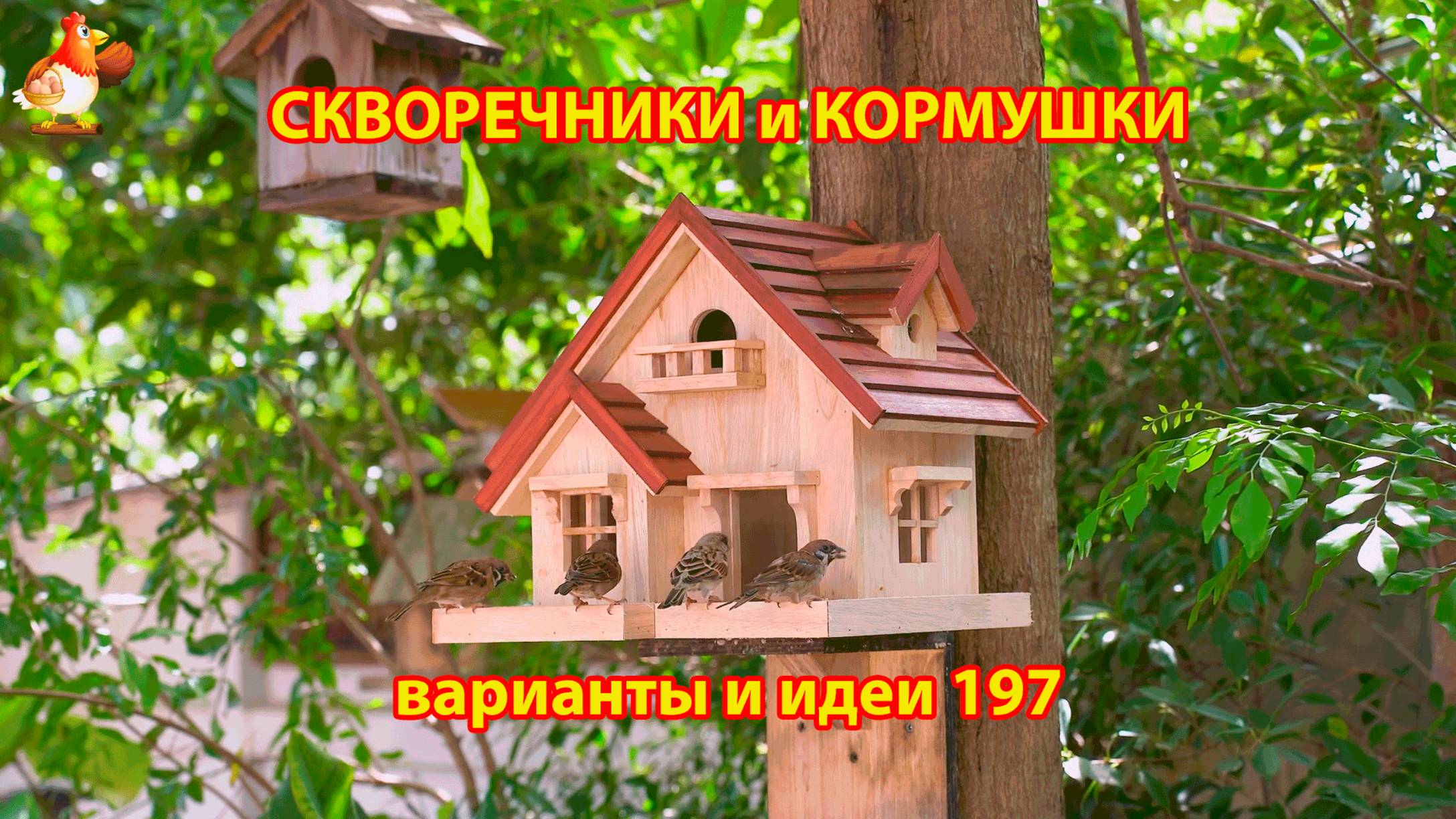 Скворечники и кормушки своими руками для птиц (197) 🪚🪛🔨 Идеи для дачи и сада пошагово ❣️