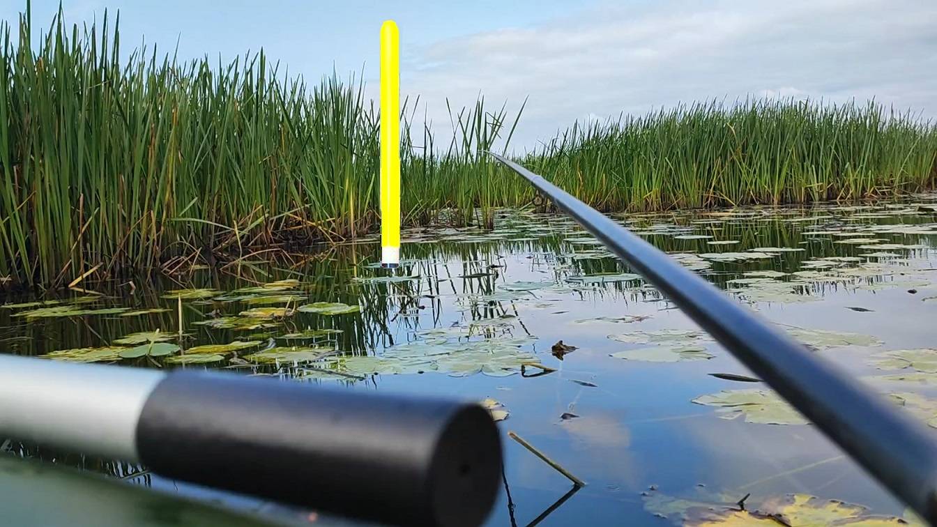 Эти КОНИ ждали меня в камышах !!! РЫБАЛКА на ПОПЛАВОК на КАРАСЯ!