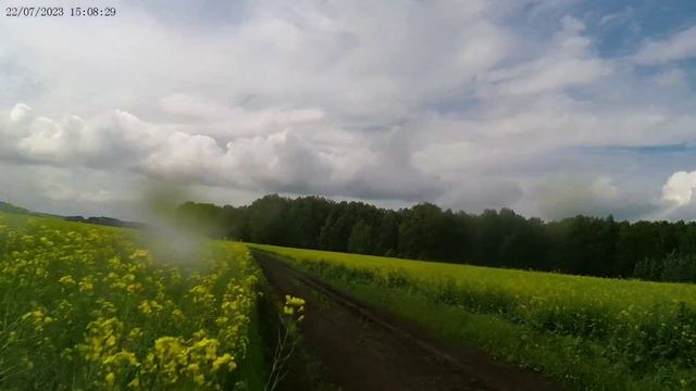 Поле, дорога, простор.