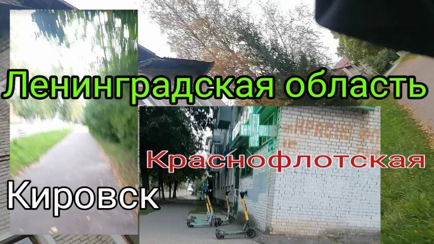 ЛЕНИНГРАДСКАЯ ОБЛАСТЬ__КИРОВСК _КРАСНОФЛОТСКАЯ _ 130925 -- N_S0F_TREE_8