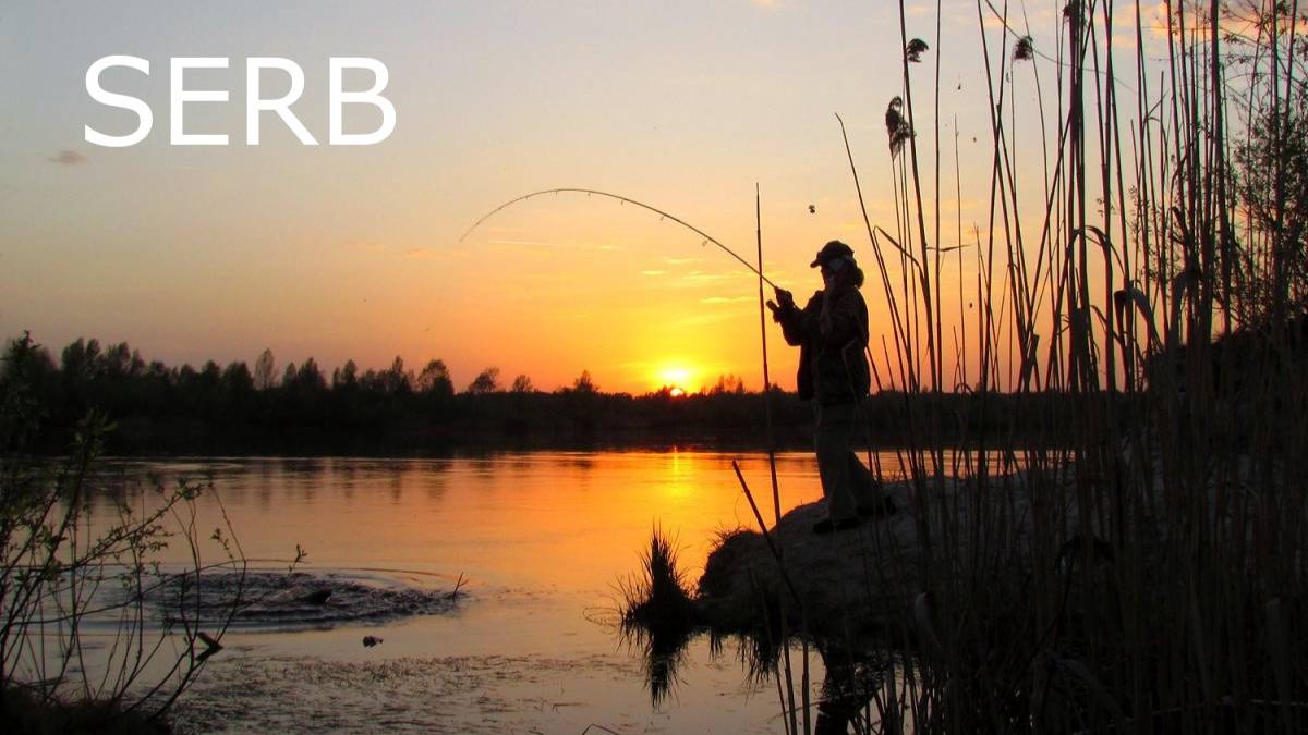 РУССКАЯ РЫБАЛКА 4 Раннее утро на Вьюнке