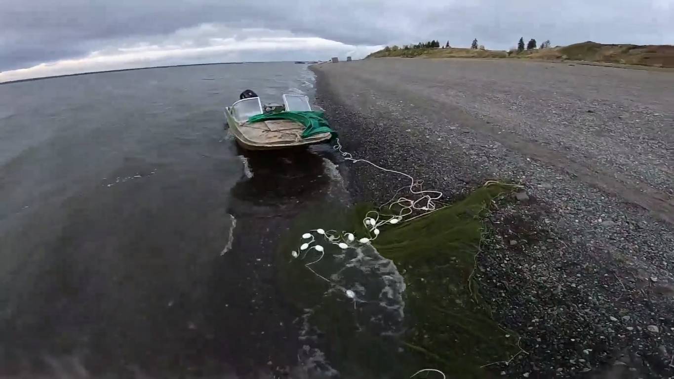 Рыбалка к ужину. Ловля неводом.