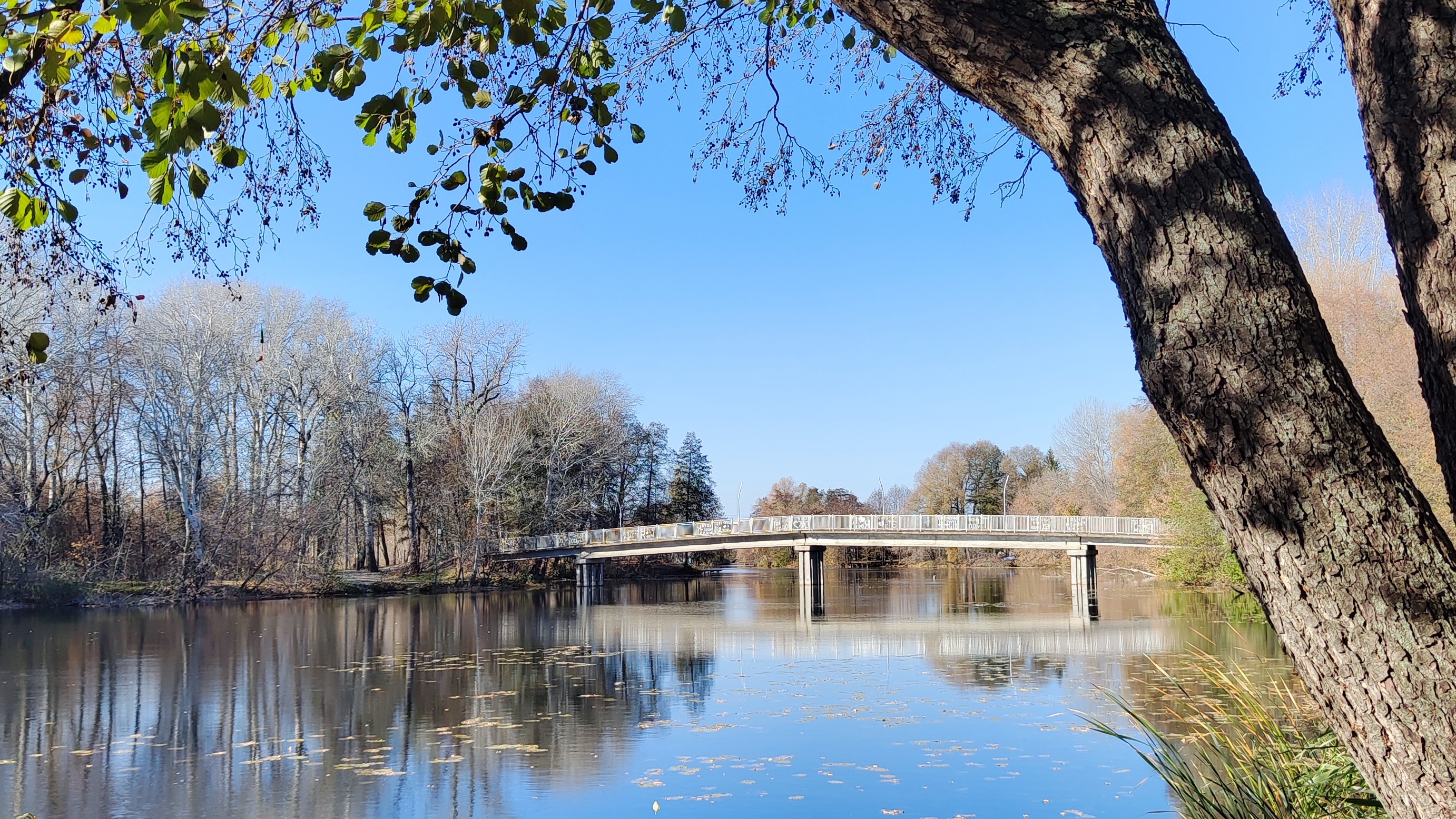 Осень. Фото. Димитровград. Ульяновск