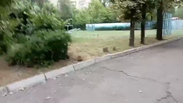 14 Пансионат Каргалы MED Алматы 25 06 2023 2K 1080p