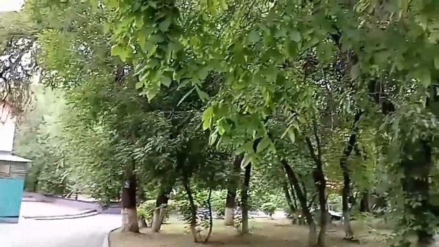 13Пансионат Каргалы MED Алматы 25 06 2023