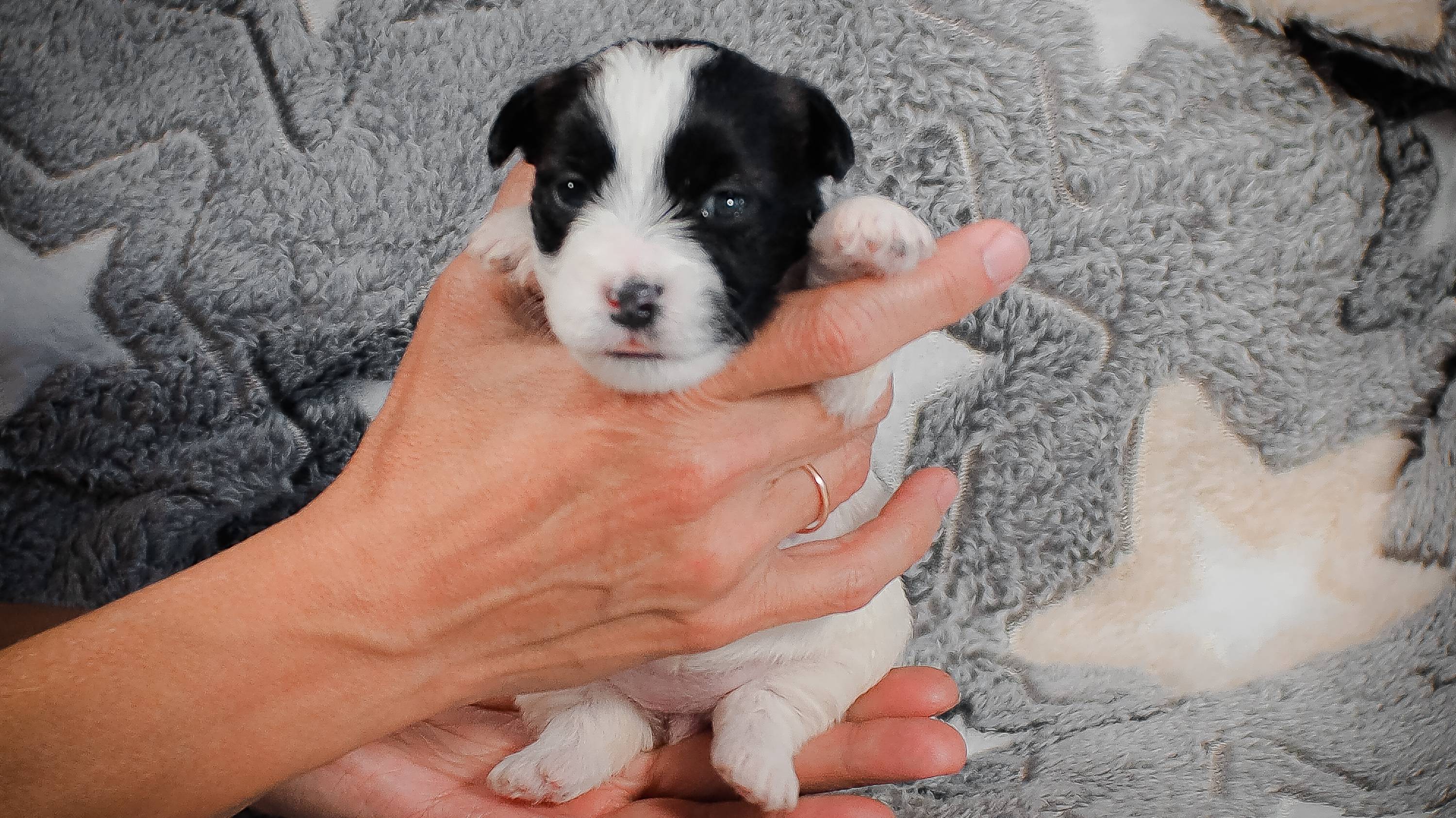 ДевочкаБЧ_27_08_25