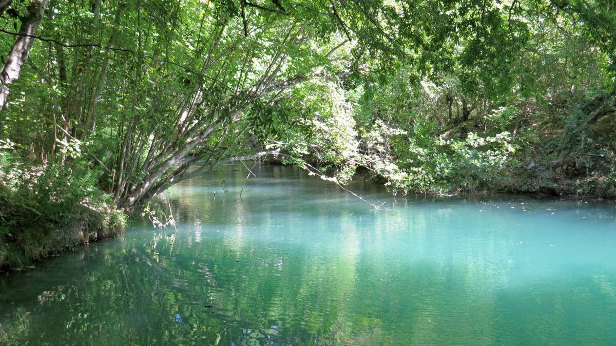 Изумрудные воды Черной реки.Севастополь.