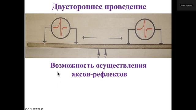 Лекция 3. Нормальная физиология для ИКМ и ИМД. Передача возбуждения. Синапс. Кузнецова Т.Е.