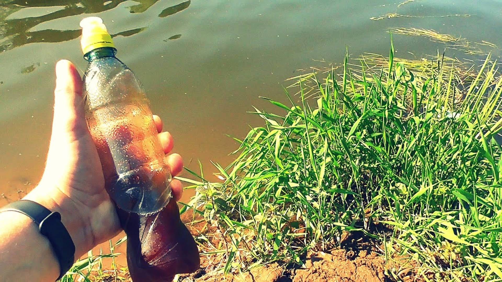 Самодельный ликвид Робин Ред. Реакция рыбы. Подводная съемка