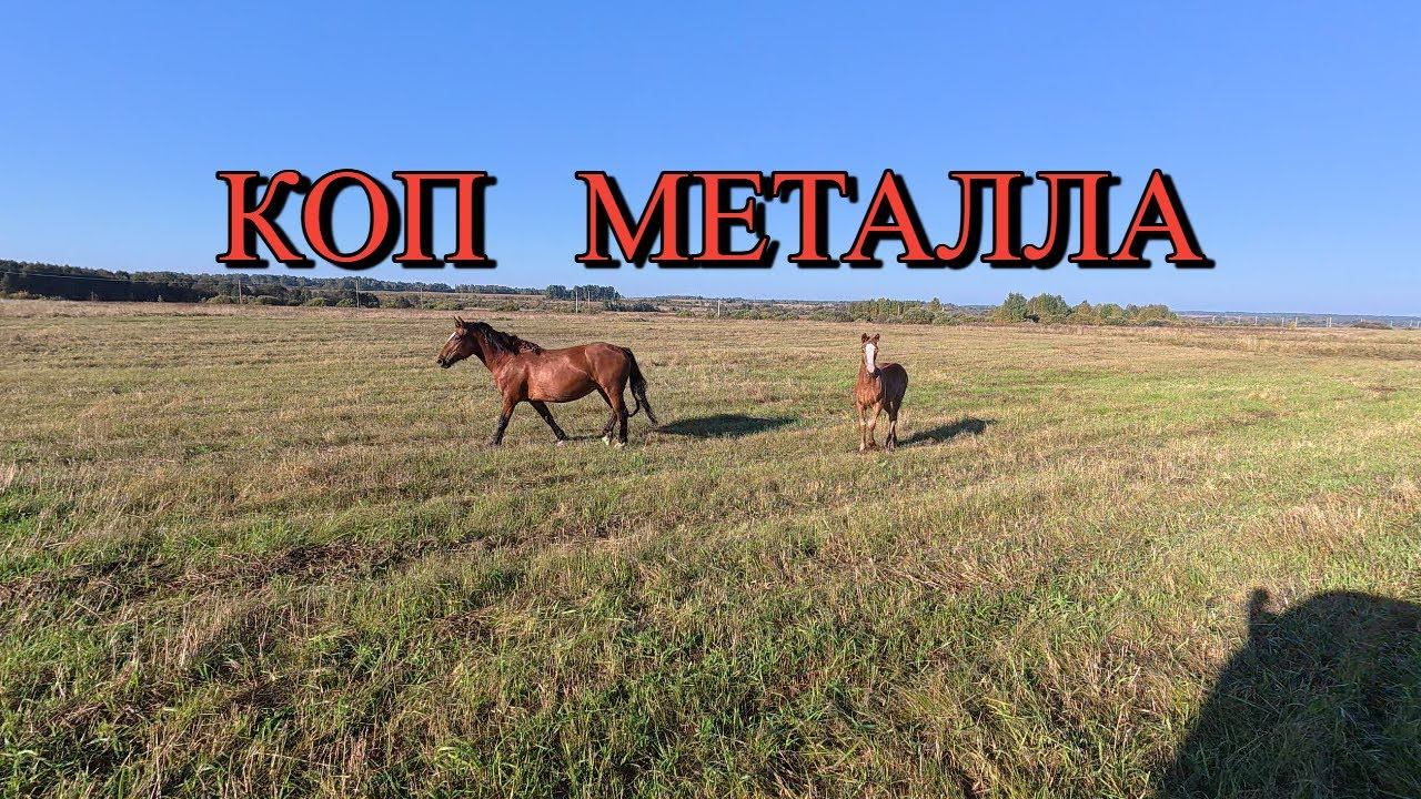 Поля не убраны. Коп на урочище. Приступаем к плану "Б"