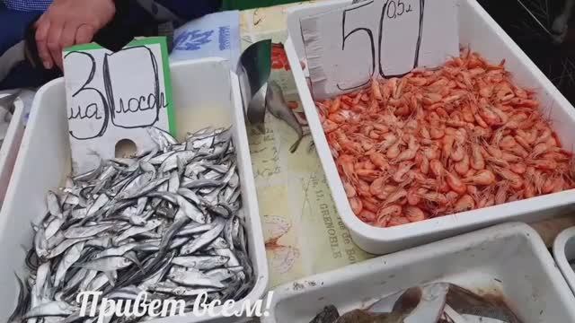 ГЕНИЧЕСК РЫБА ВЕСНОЙ