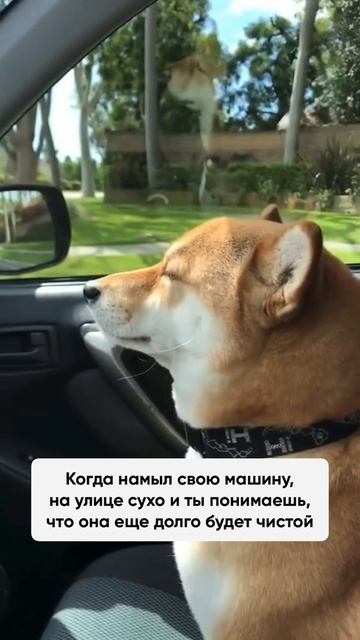 Теплая осень