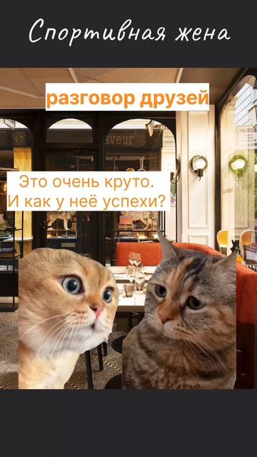 Сериал #ДваКота продолжается. Хочешь похудеть - займись спортом! 😸🔥💪#мем #юмор #анекдот #прикол  #ре