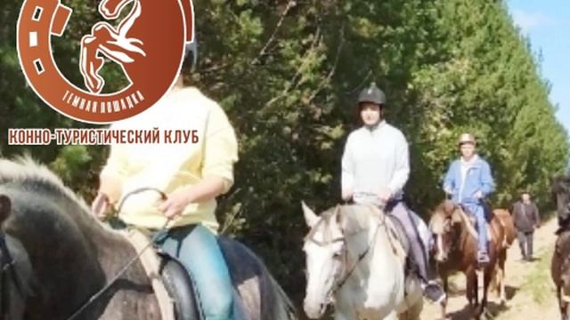 Услуги нашего клуба