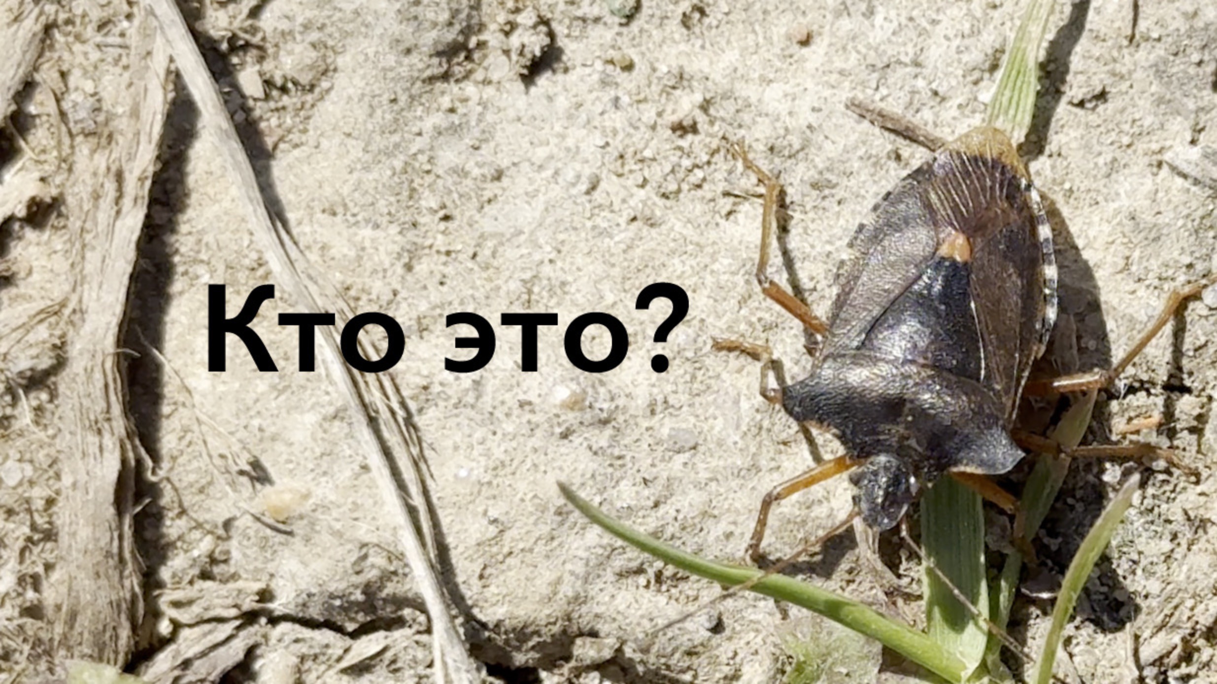 Мормышинг. Рыбалка на Озере. Осень 2025. А где Карась? 13 сентября 2025.