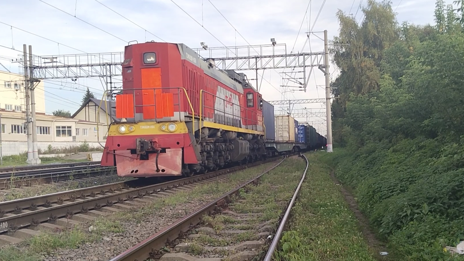 ТЭМ18ДМ - 856 выполняет манёвры на станции Подсолнечная.