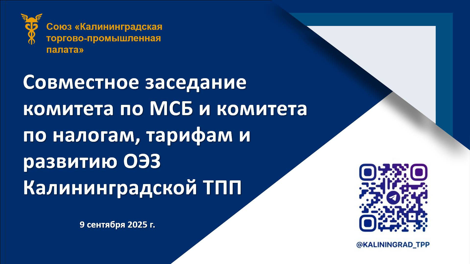 Совместный комитет по МСБ и налогам тарифам и развитию ОЭЗ Калининградской ТПП 1-й вопрос