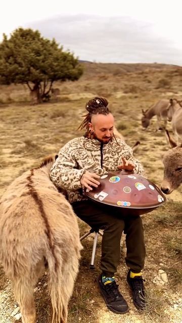 Ослики тоже любят музыку..❤️