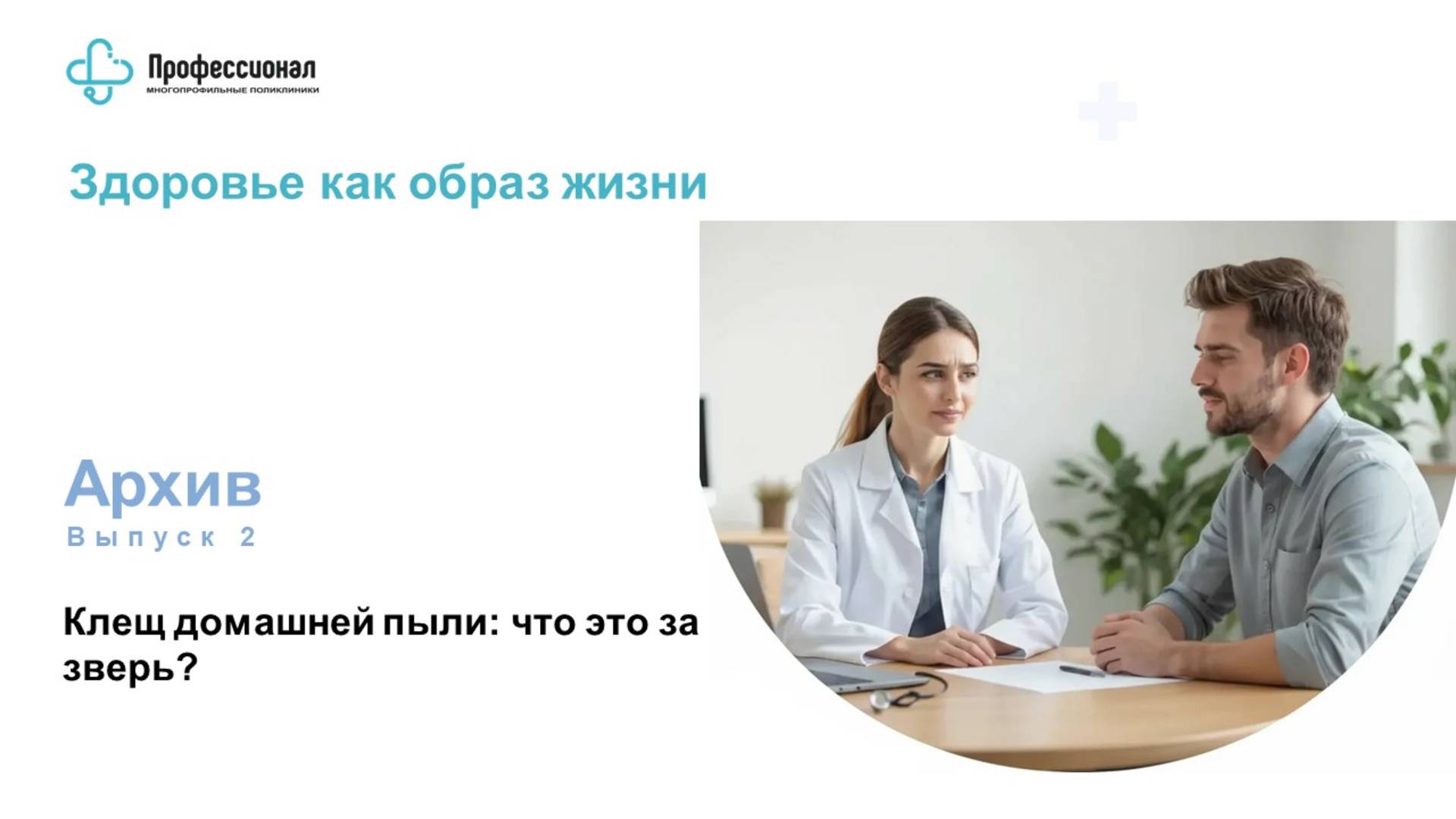 Клещ домашней пыли - что это за зверь?