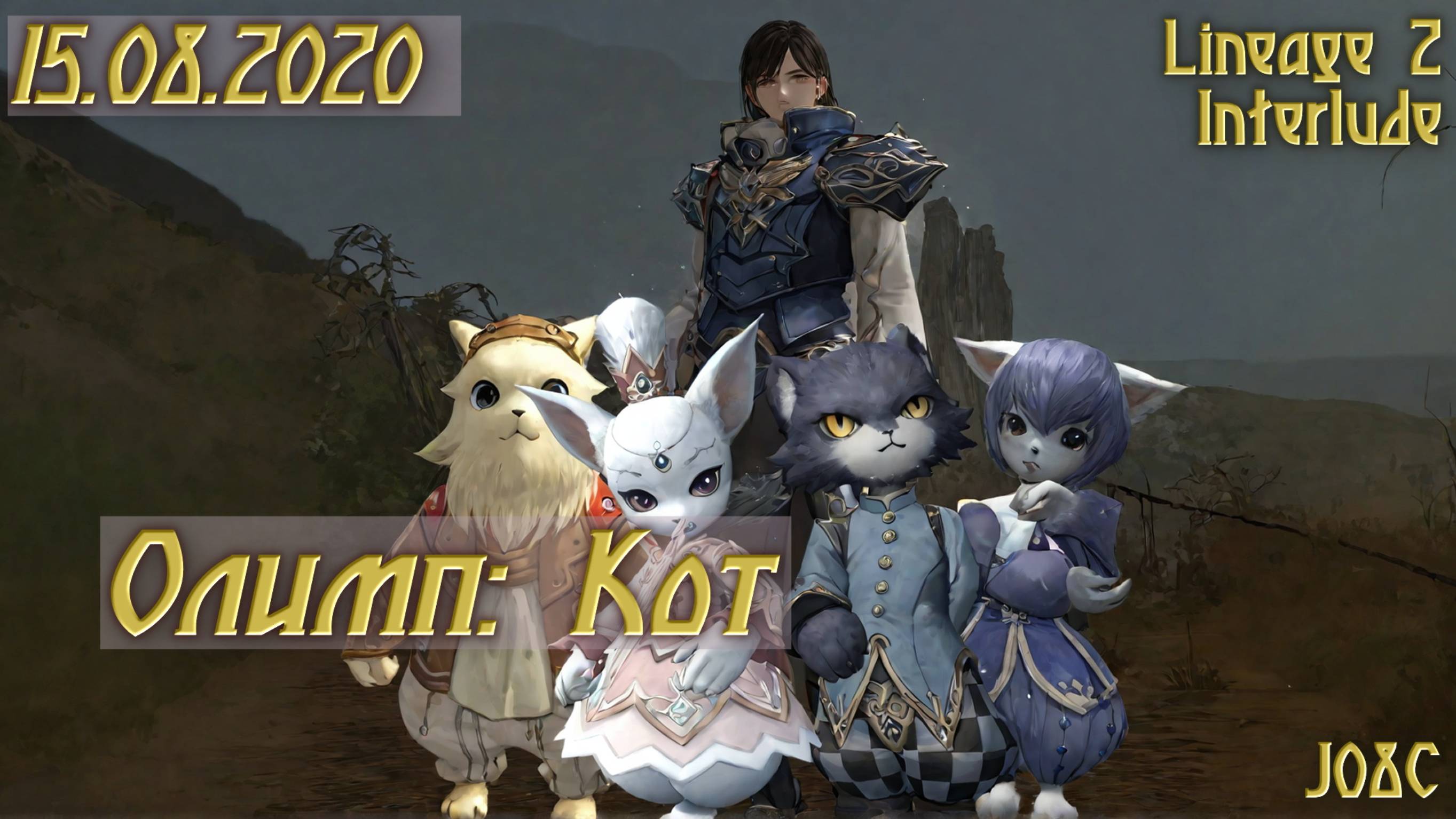 2020. J08C - Олимп: Кот