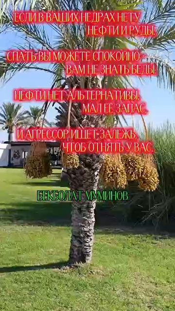 "Если в ваших недрах..." Бекболат Муминов ("Стихи. Легенды. Сказы." Раздел - Сатира, Юмор)  #юмор