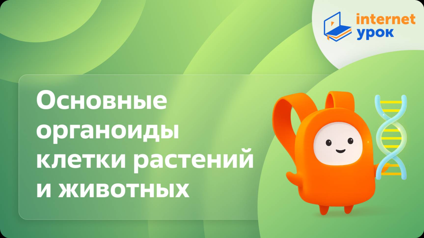 Биология 9 класс. Основные органоиды клетки растений и животных