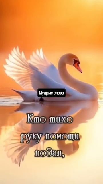 О ценностях