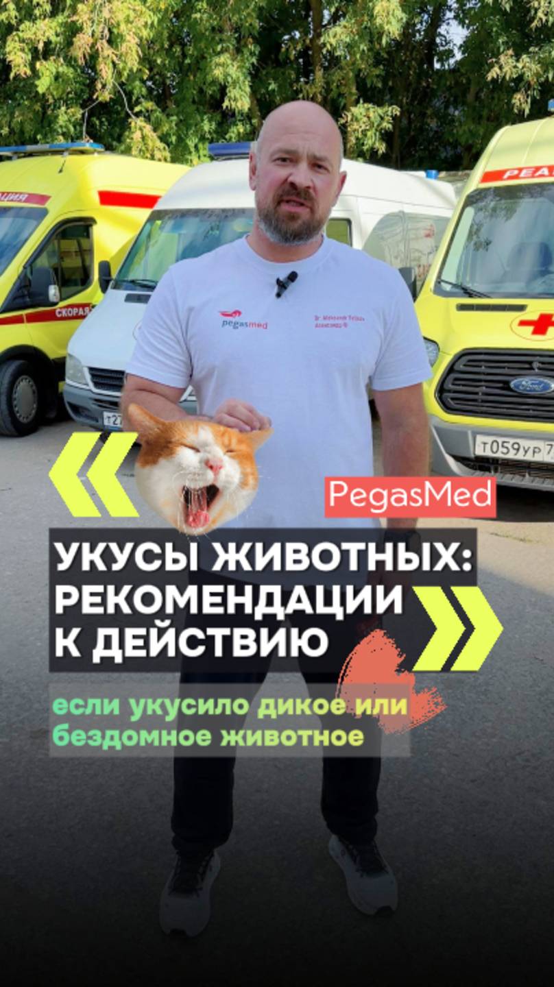 Укус животного: как защититься от бешенства?