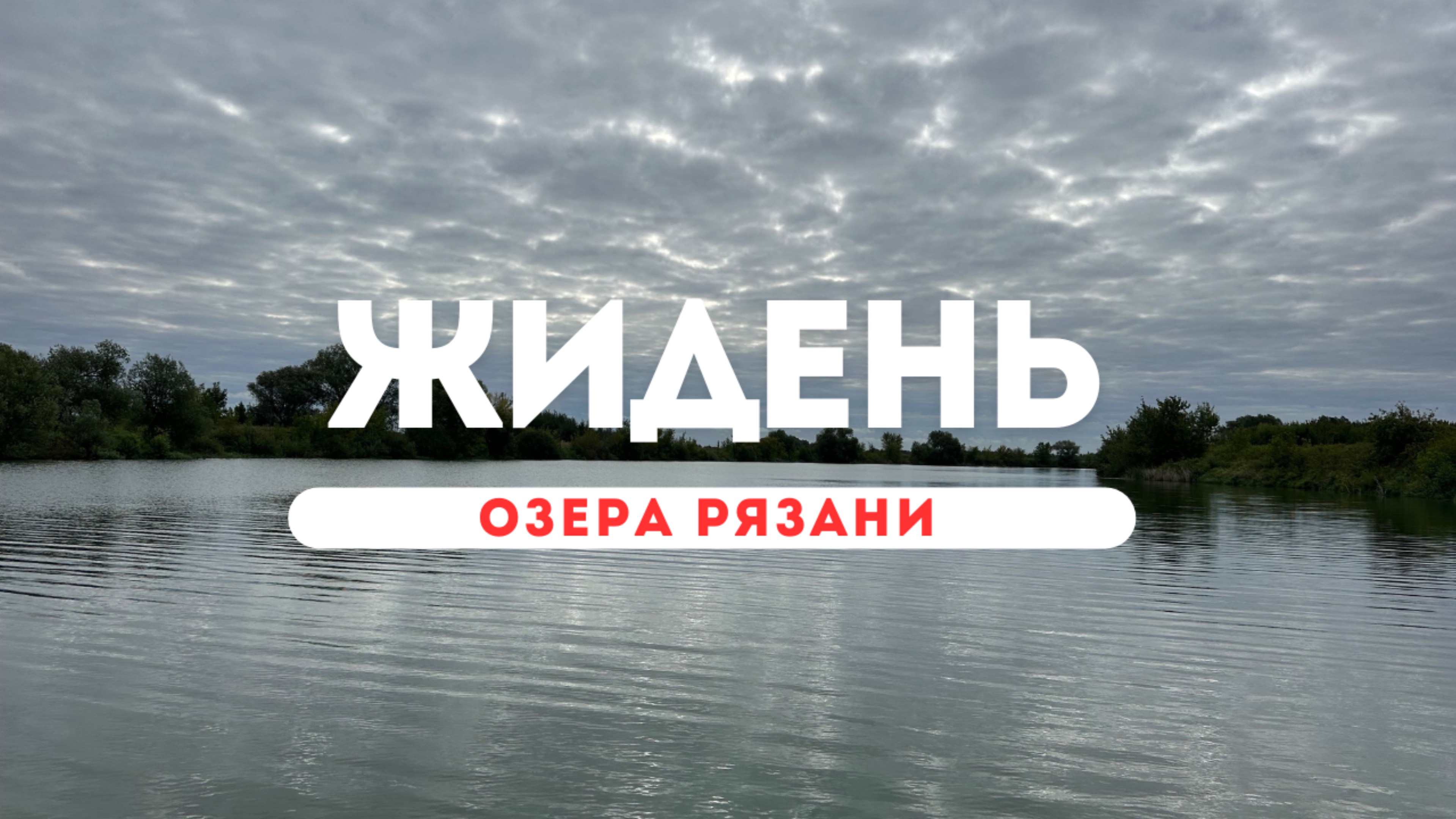 🌊 SUP-прогулка по озеру Жидень - шиповник и кувшинки Рязанской земли