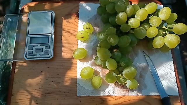 г.ф. Любимый Пыжова В.М. на 13.09.2025 года