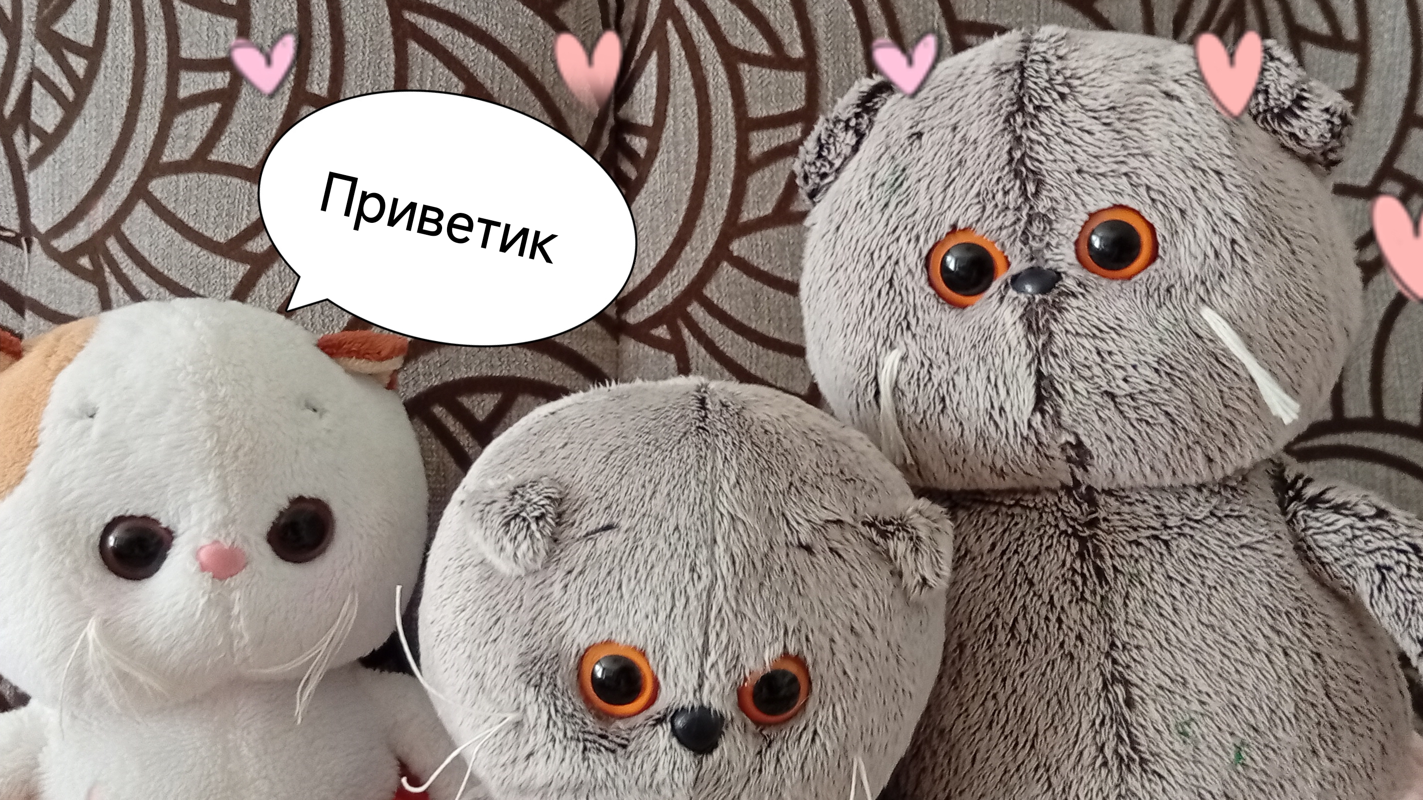 Новый Басик! Мы назвали его...☺