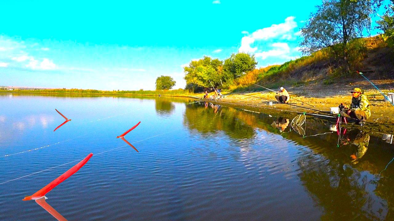 РЕКА КИПИТ ОТ РЫБЫ!! КАРАСЬ, САЗАН, РЫБАЛКА НА ПОПЛАВОК