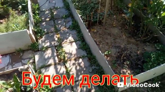 Дачи на болоте