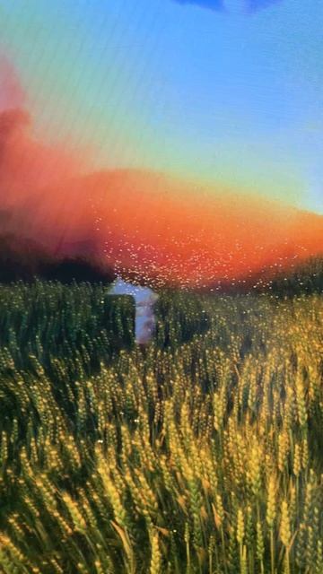 Иллюстрации внутри кроличьей норы в парке Галицкого #парккраснодар #паркгалицкого