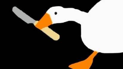 ГУСИИ  игра с другом.