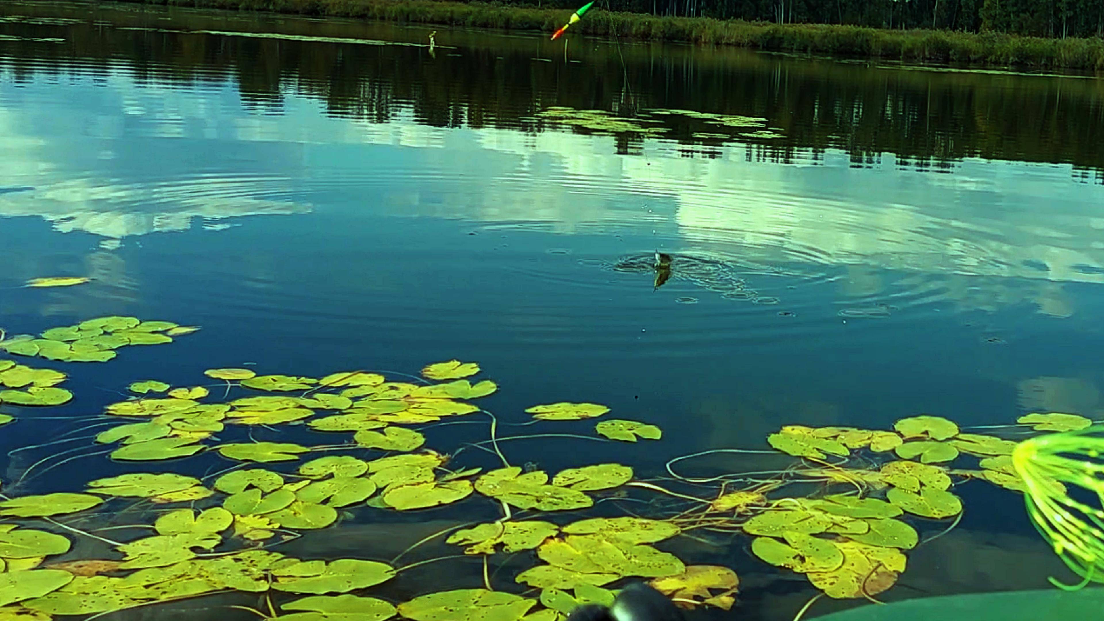 Малый Уткуль - рыбалка - 2 серия