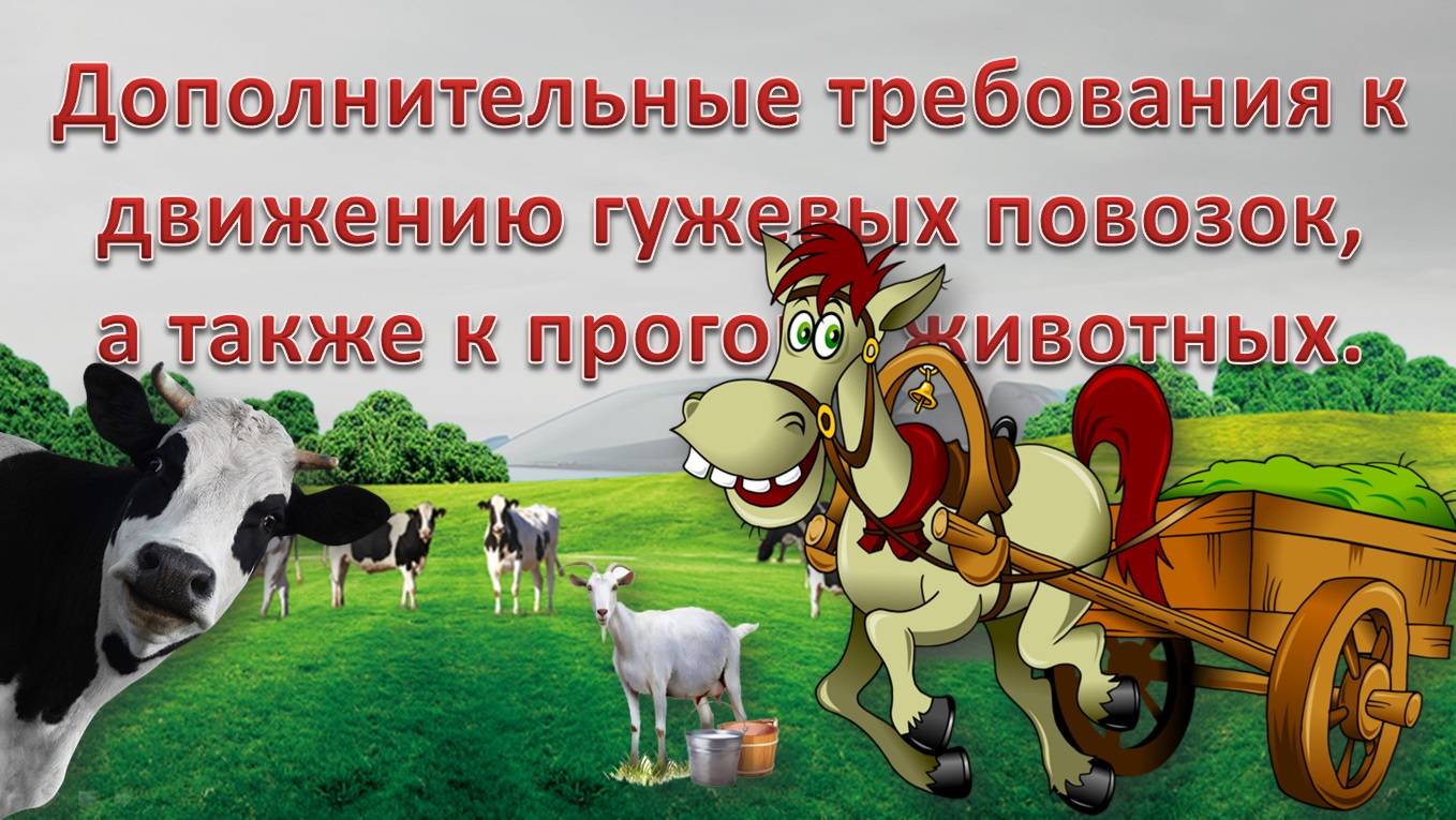 Тема 25. Дополнительные требования к движению гужевых повозок, а так же прогону животных.