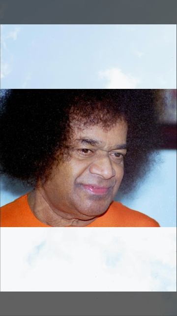 Действуйте правильно, и тогда соберёте плоды История 80.mp4