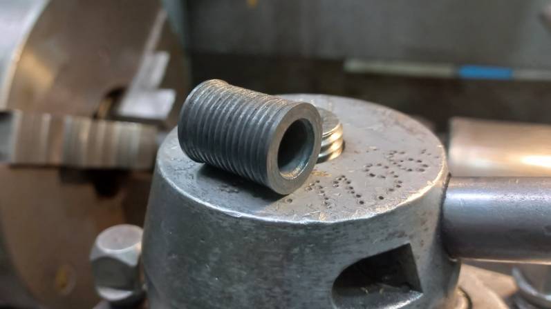 Маленький шкивок и картофельная черепаха