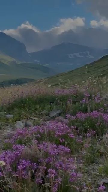 Кавказ с высоты: горы, лагерь и дух свободы