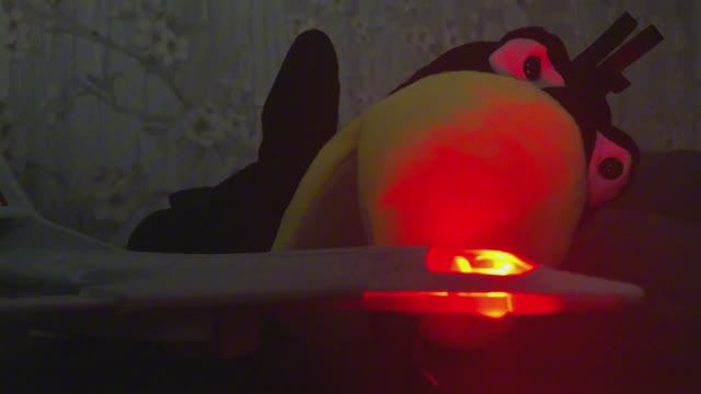 В дорогу с вороной Асей🥹✈️