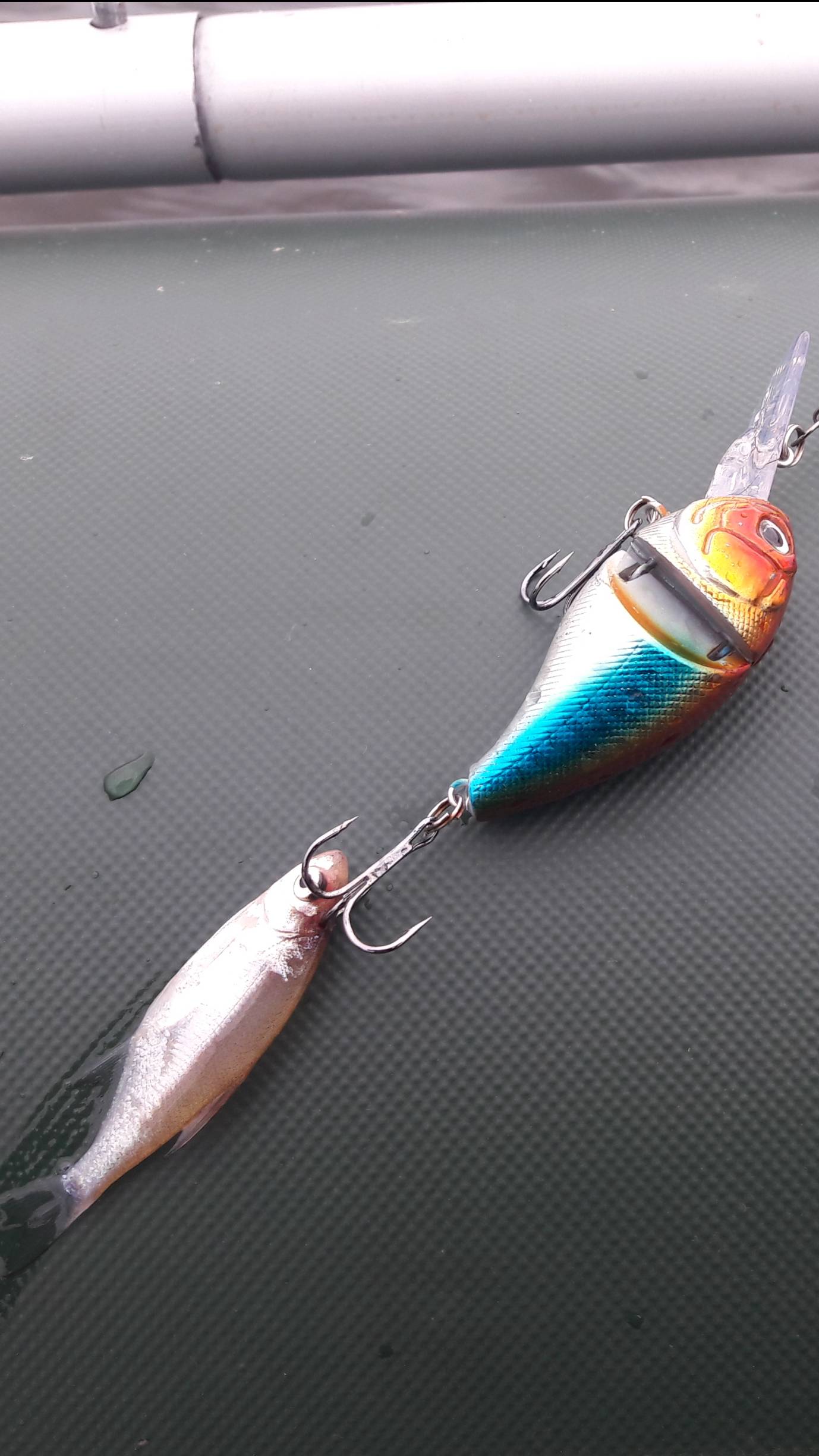 ЛЕЩЬ НА ТРОЛЛИНГ