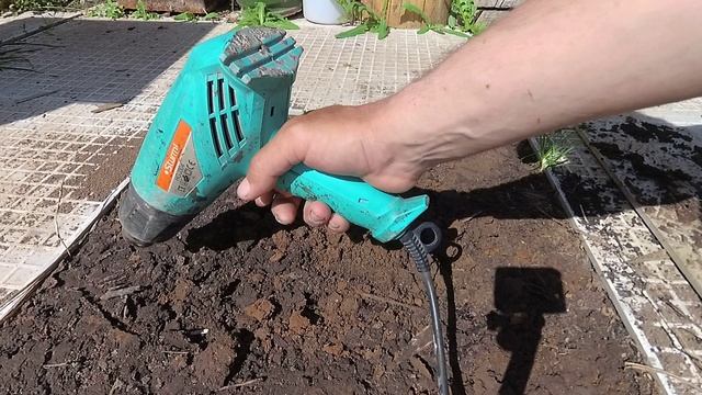 Как легко и быстро уничтожить муравьев — придумал новый эффективный способ.