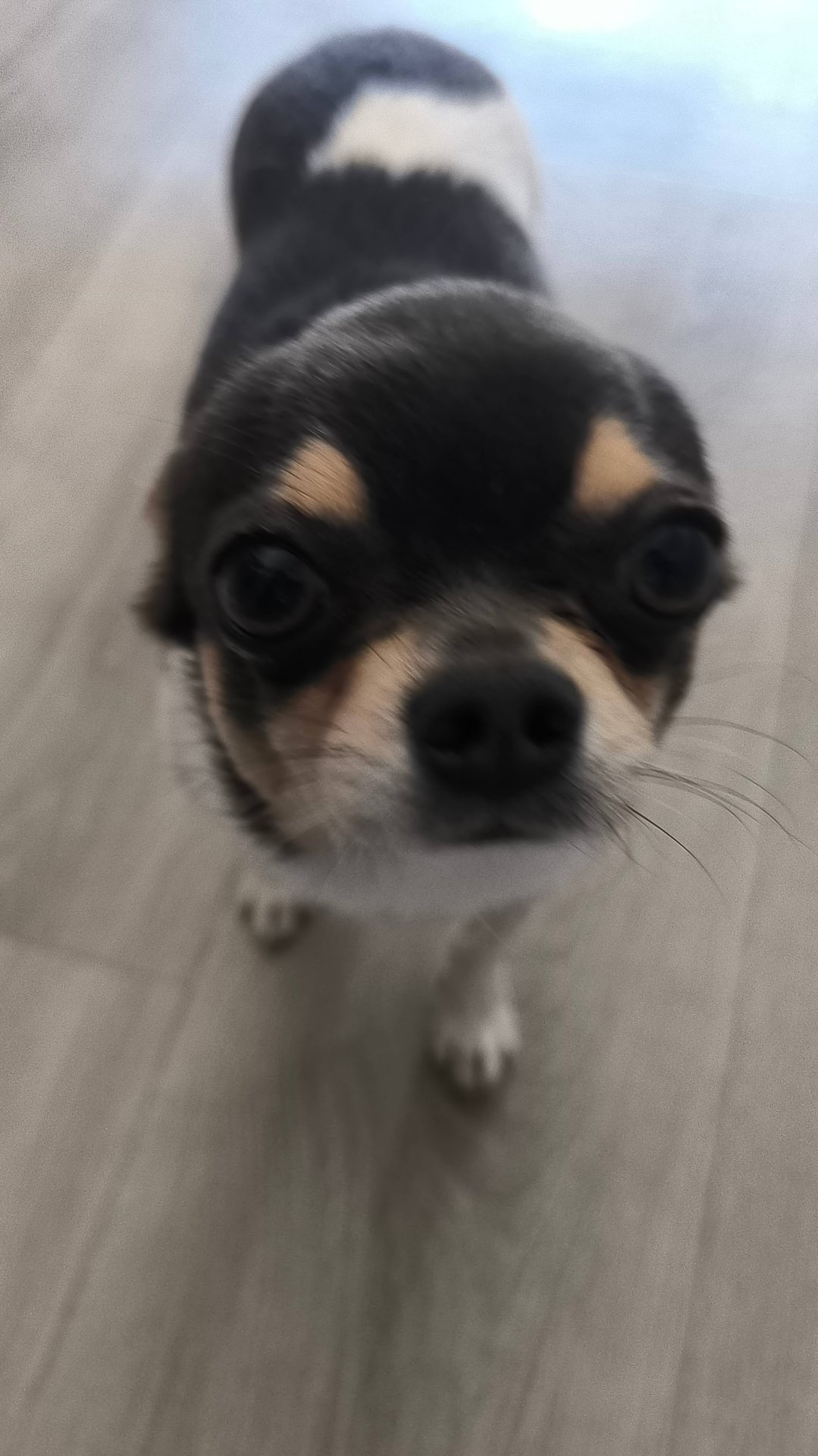 Разные тетради